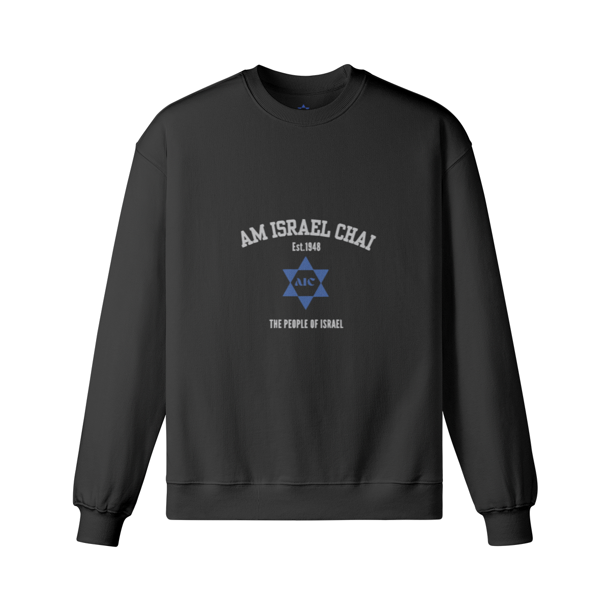 AM ISRAEL CHAI – Heavyweight Embroidered Hoodie